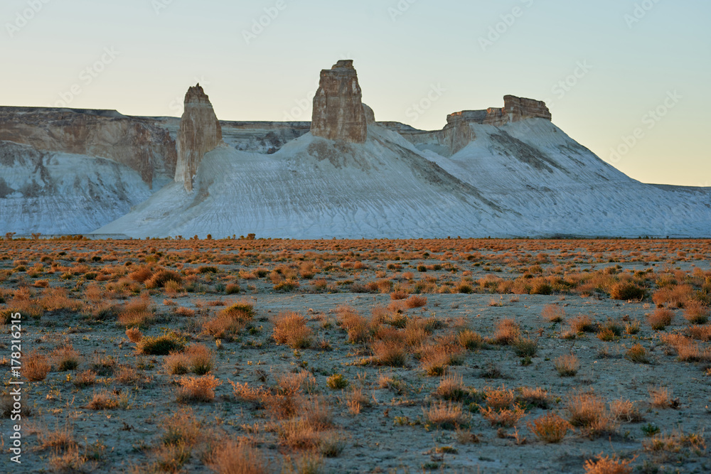 On the Ustyurt Plateau. Desert and plateau Ustyurt or Ustyurt plateau ...