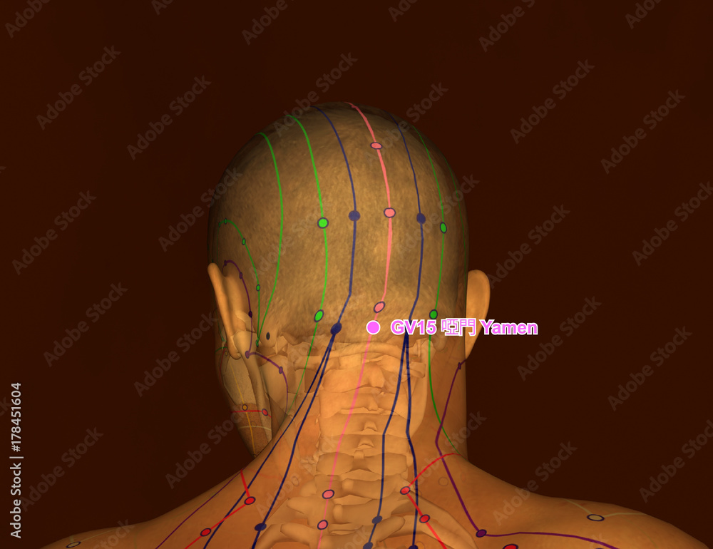 Drawing Acupuncture Point with Skeleton GV15 Yamen, 3D Illustration ...