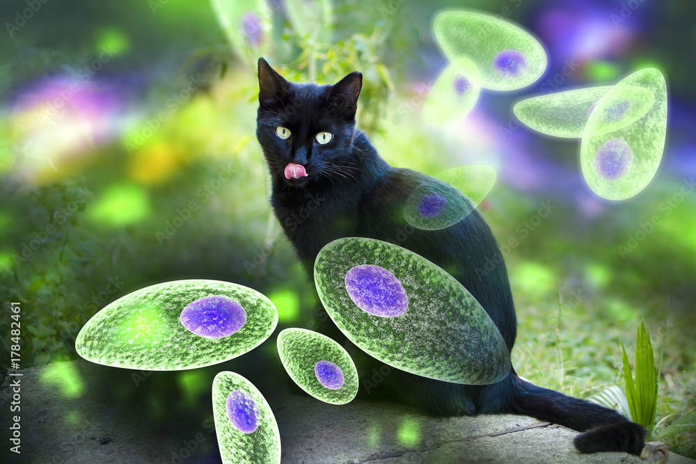 Toxoplasma gondii awareness conceptual image. 3D illustration showing ...