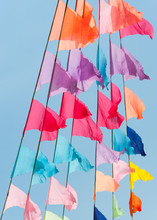 Many Small Yellow Flags Free Stock Photo - Public Domain Pictures