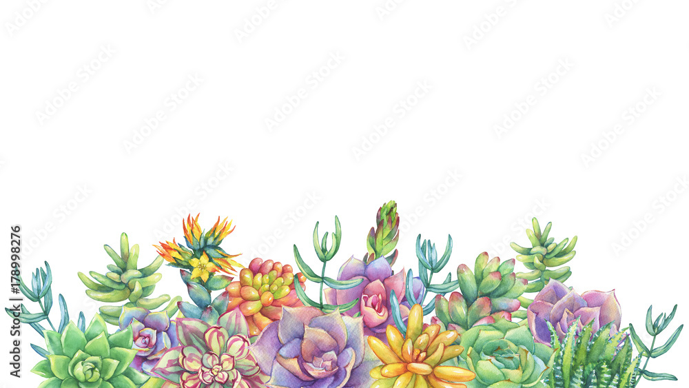 Frame with leaves, succulent. Succulents collection. Watercolor hand ...