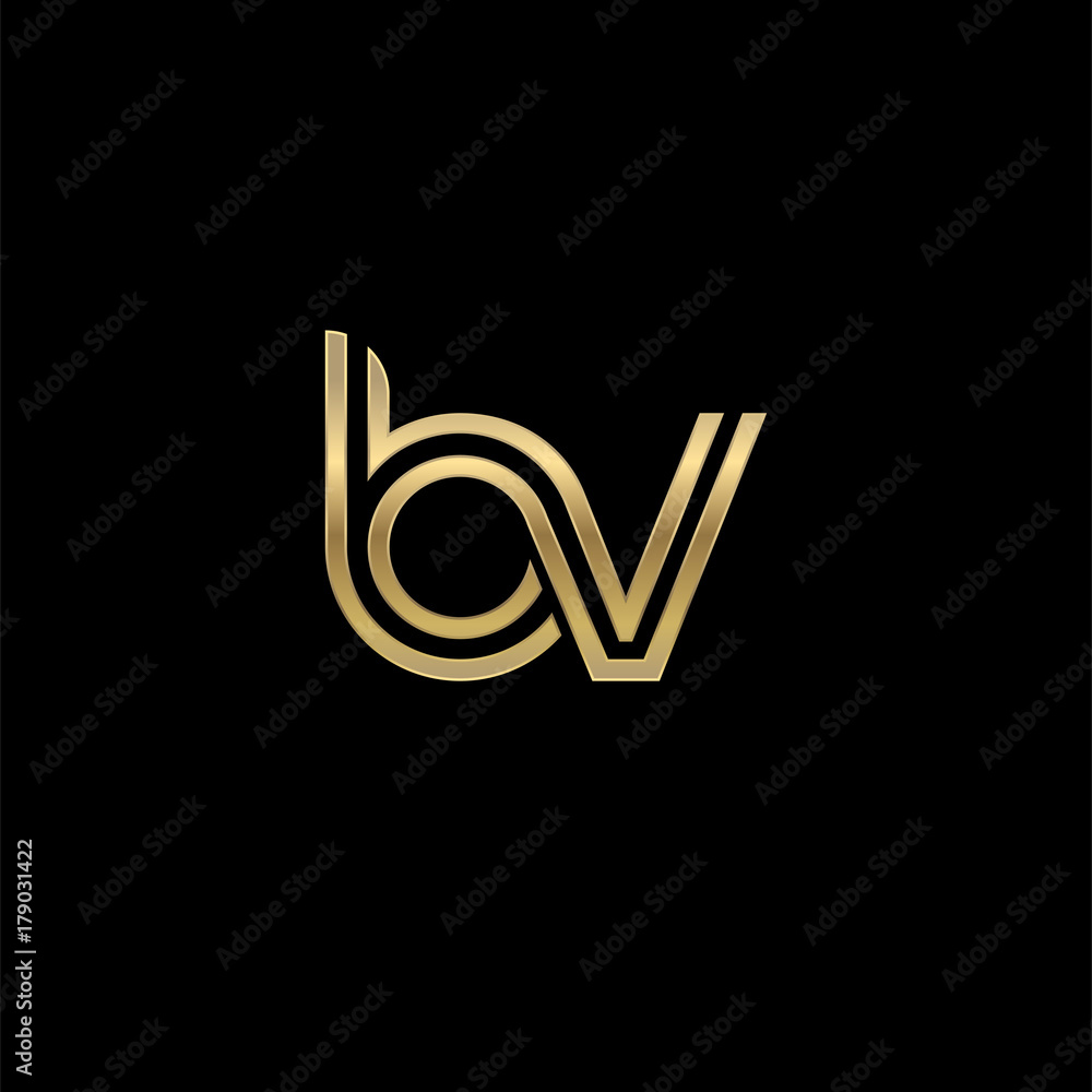 Initial lowercase letter bv, linked outline rounded logo, elegant ...