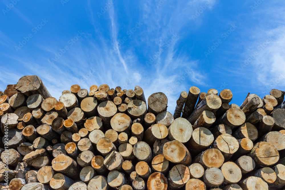Timber stacked Stock Photo | Adobe Stock