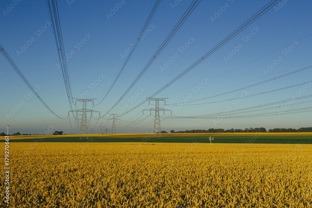 High voltage power lines and transmission towers in agricultural fields ...