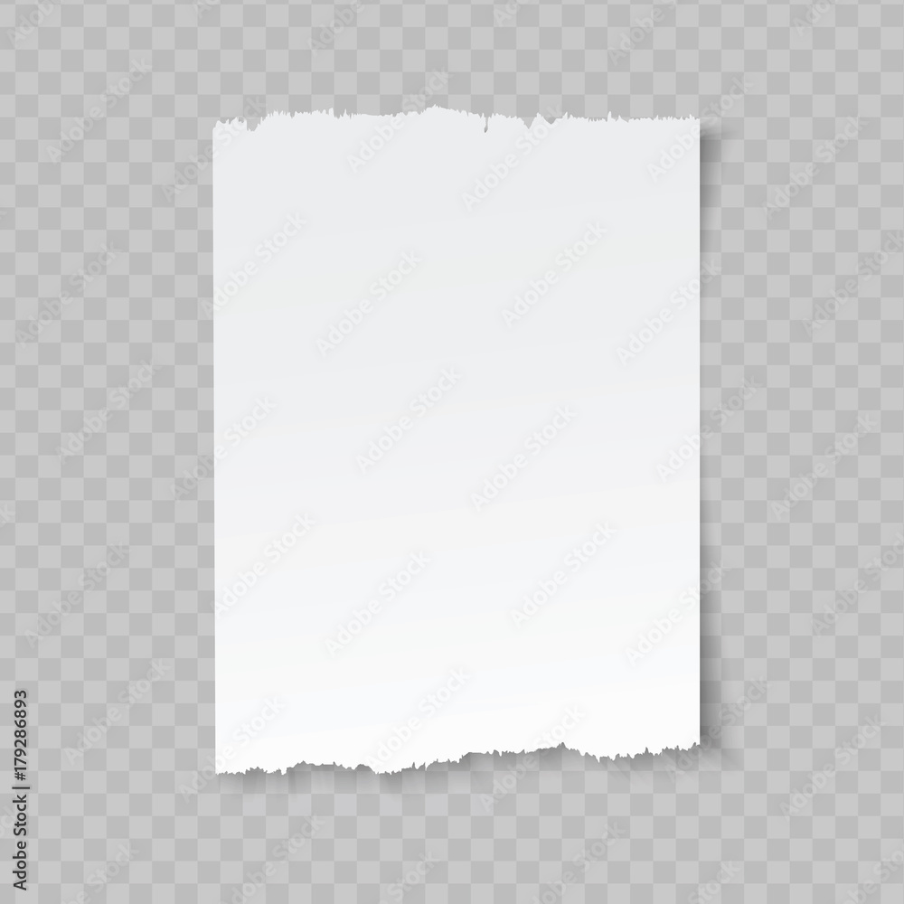 Paper Transparent Background