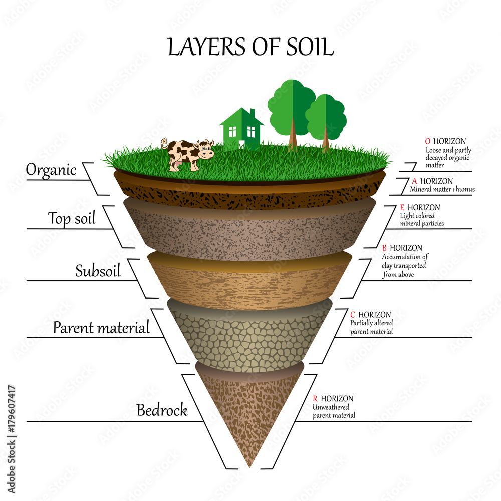Layers of soil, education diagram. Mineral particles, sand, humus and ...