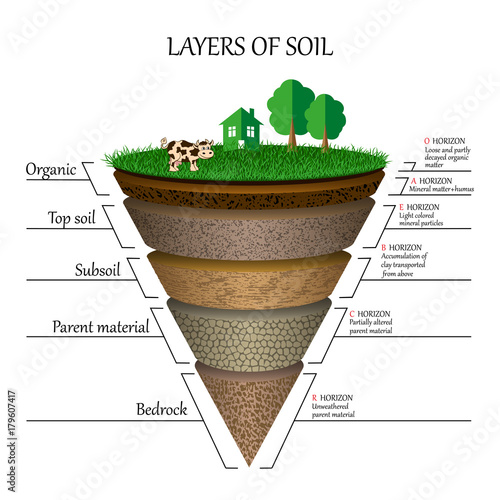 Layers Of Soil Education Diagram Mineral Particles Sand Humus And layers-of-soil-education-diagram-mineral-particles-sand-humus-and