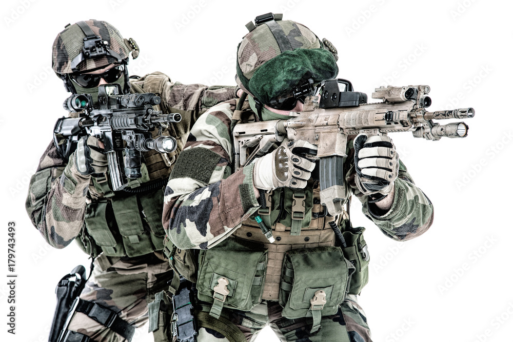 Paratroopers of french 1st Marine Infantry Parachute Regiment RPIMA ...