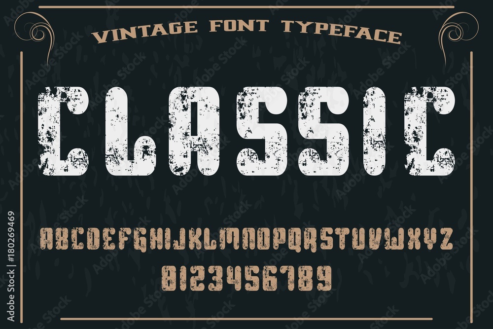 font handwritten vector Calligraphic alphabet,vector,script,font,labels ...