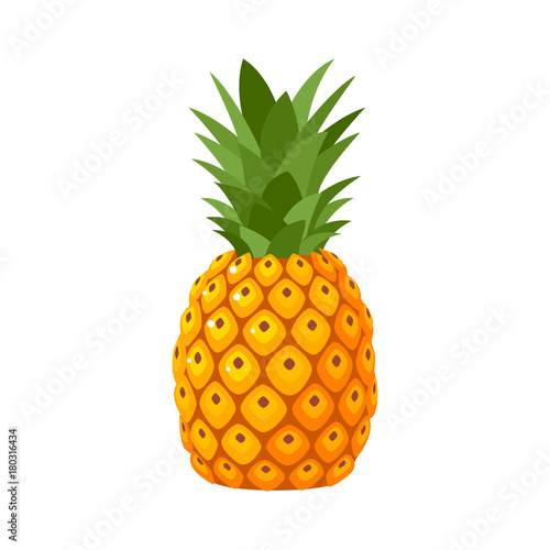 Summer fruits for healthy lifestyle. Pineapple fruit. Vector ...