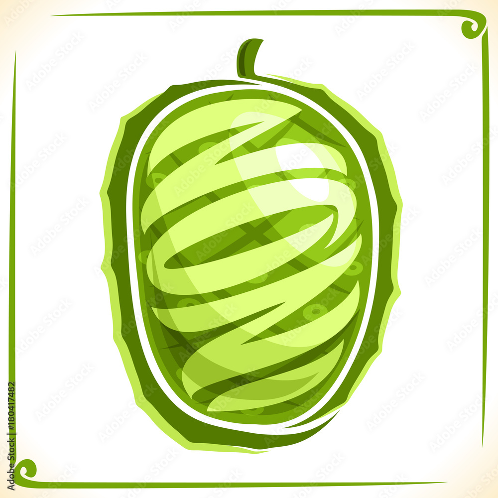 Vector logo for Noni Fruit, label with one eriobotrya japonica for ...