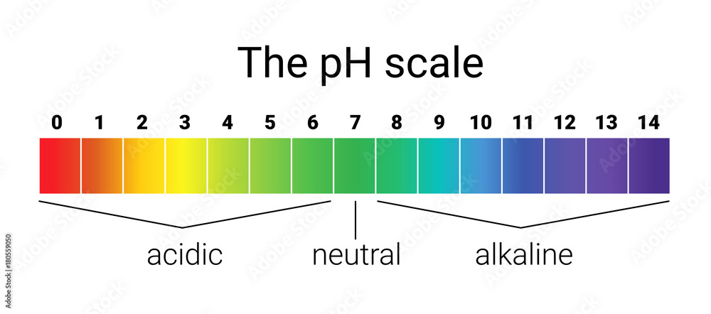 ph scale. infographic acid-base balance. scale for chemical analysis ...