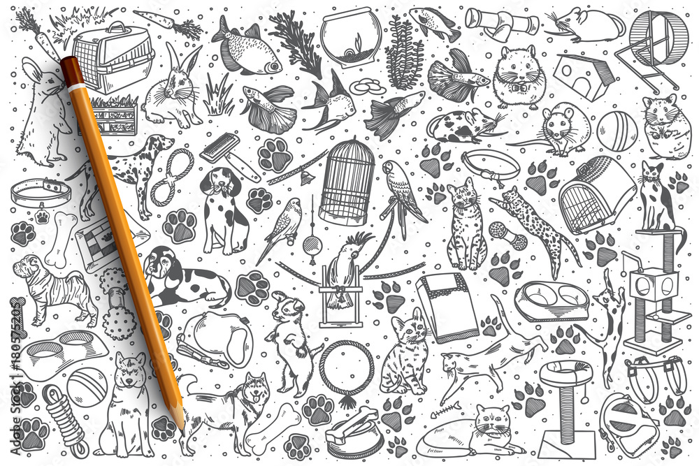Hand drawn Pets vector doodle set background Stock Vector | Adobe Stock