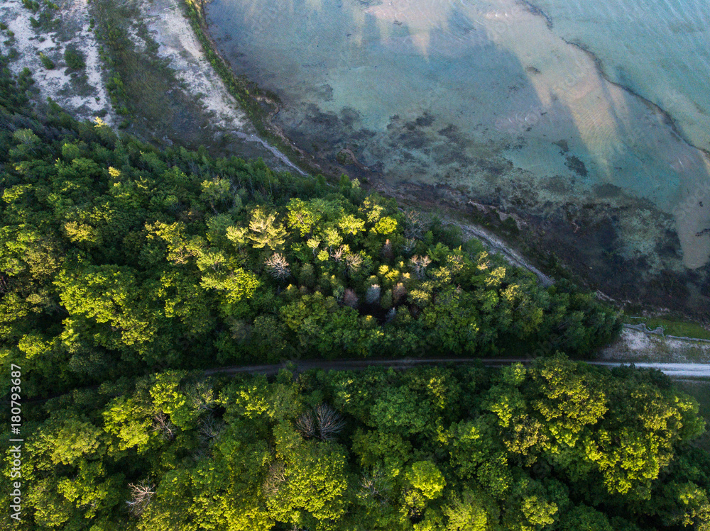 A Green Tree Line at the Lake Stock Photo | Adobe Stock