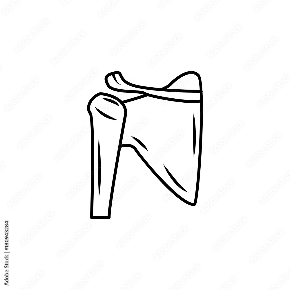 Shoulder joint isolated icon. Body part element. Premium quality ...