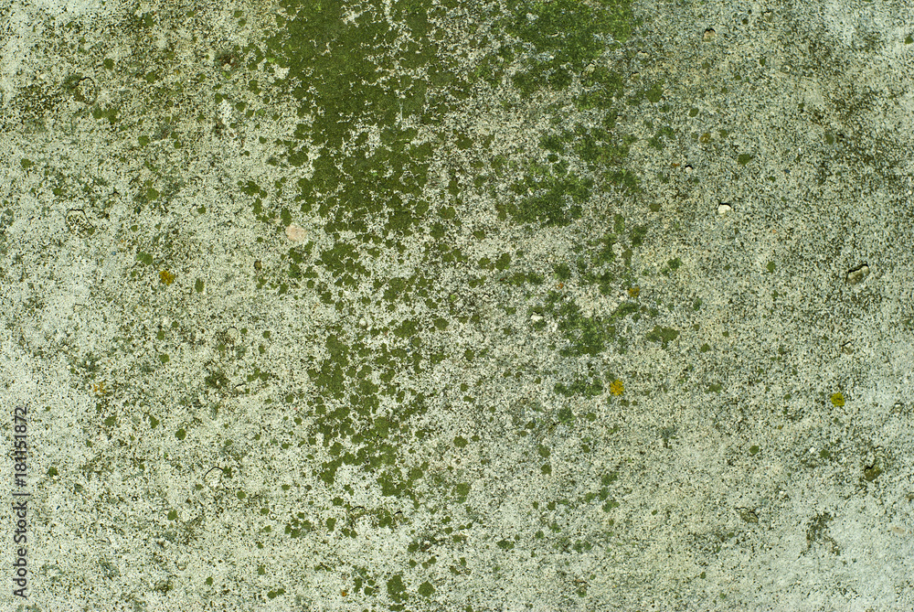 background, texture: the surface of an old concrete slab, covered with ...
