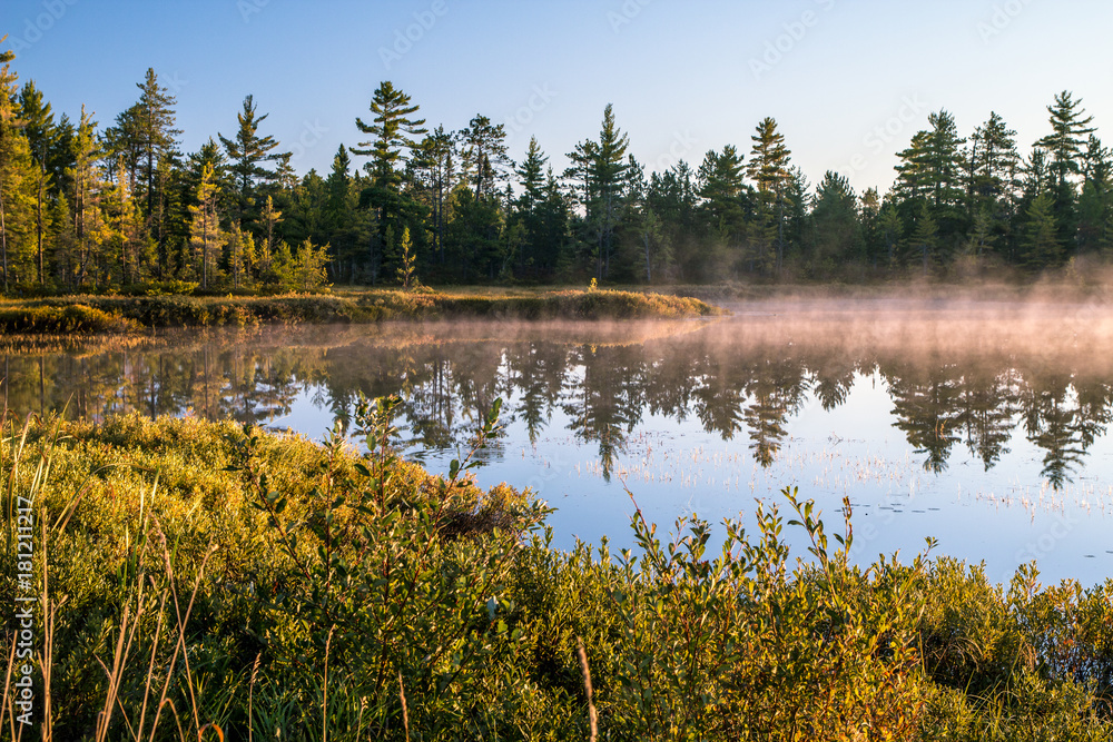 Michigan Misty Morning Wilderness Forest Background. Mist rises off a ...