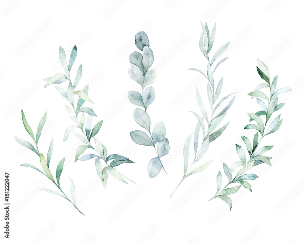 Watercolor floral set. Hand drawn isolated illustration. Botanical art ...