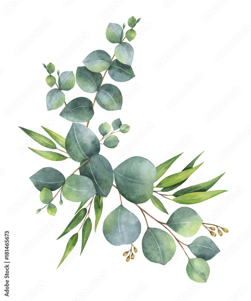 Vector de Stock Watercolor vector wreath with green eucalyptus leaves ...