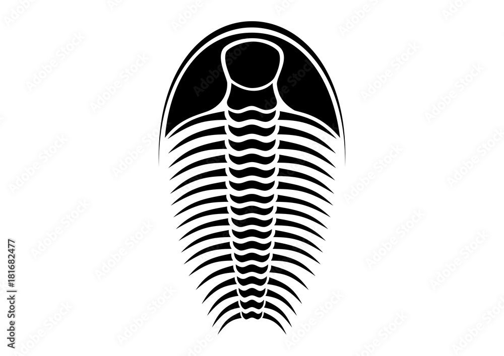 trilobite - black and white vector Stock Vector | Adobe Stock