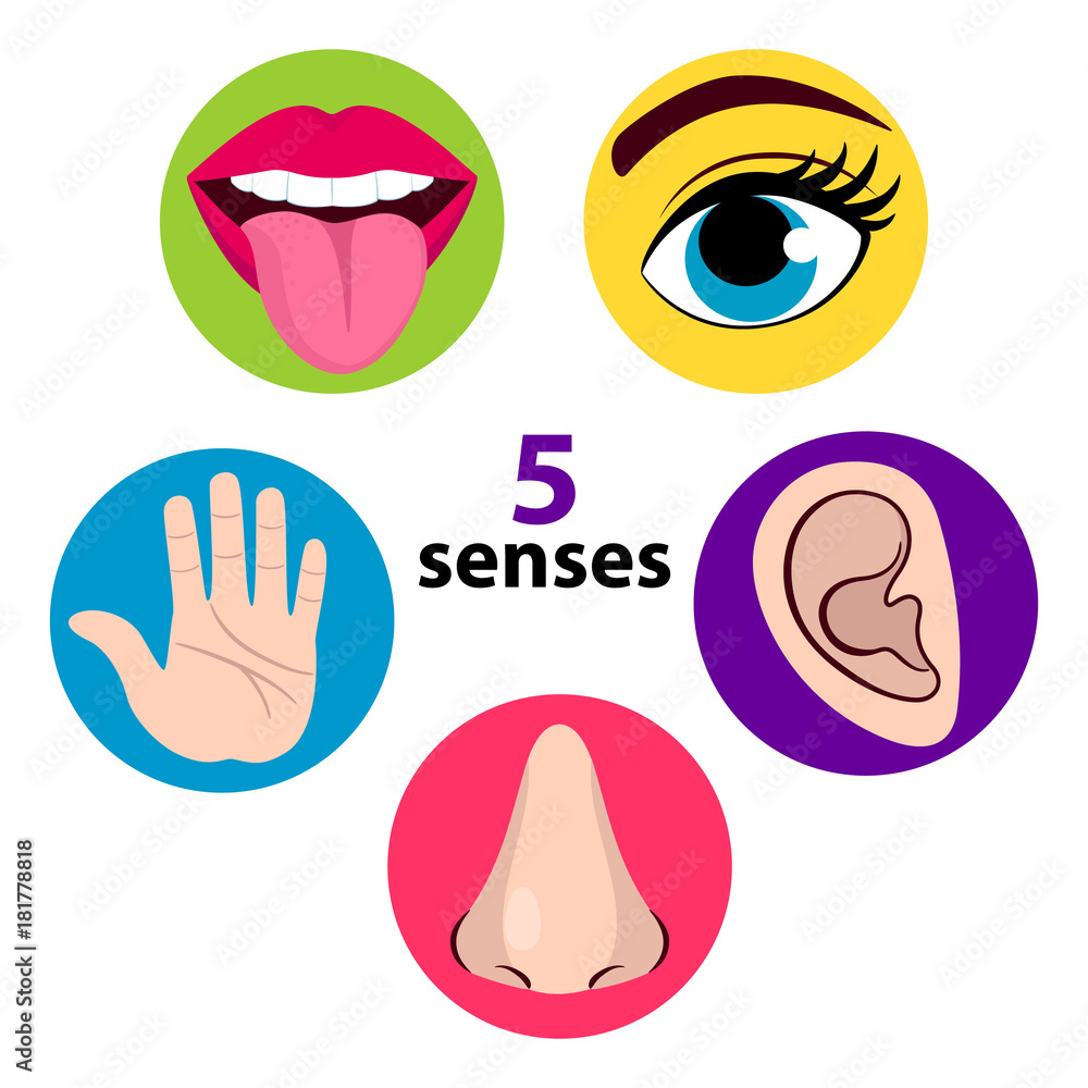 Set of five human senses: vision (eye), smell (nose), hearing (ear), touch (hand), taste (mouth ...