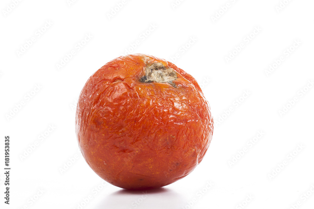 Rot rotten wrinkled old tomato vegetable On isolated white studio ...