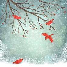 Cardinal Winter Scene Free Stock Photo - Public Domain Pictures