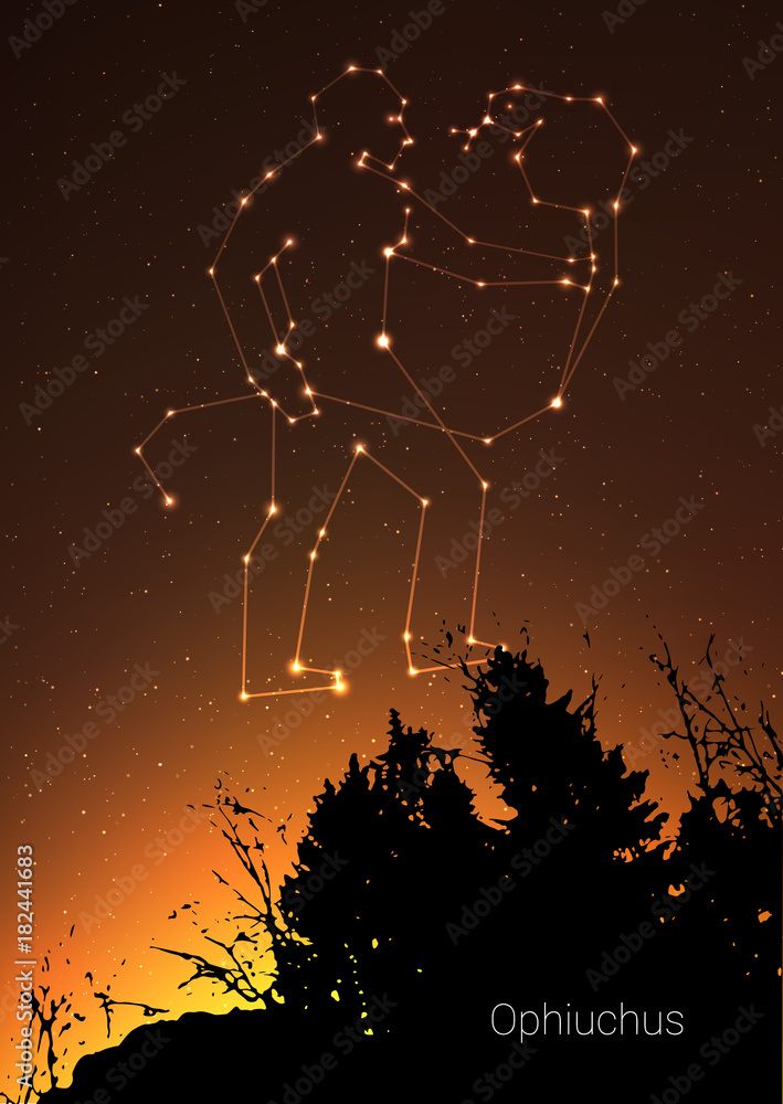 Ophiuchus zodiac constellations sign with forest landscape silhouette ...