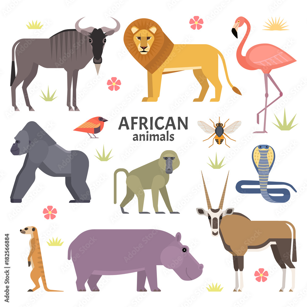Vector illustration of African animals and birds: hippopotamus, lion ...