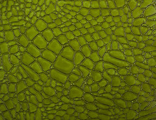 Green Crocodile Skin Background Free Stock Photo - Public Domain Pictures