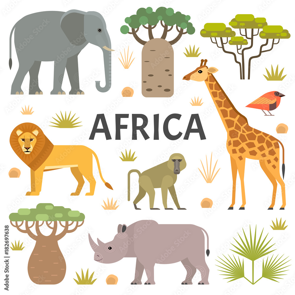 Vector illustration of African animals and plants: lion, baboon ...