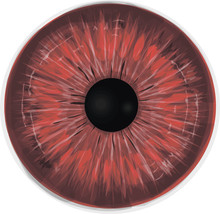 Crimson Eye Pattern Free Stock Photo - Public Domain Pictures