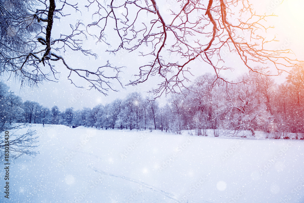Winter Scene Background