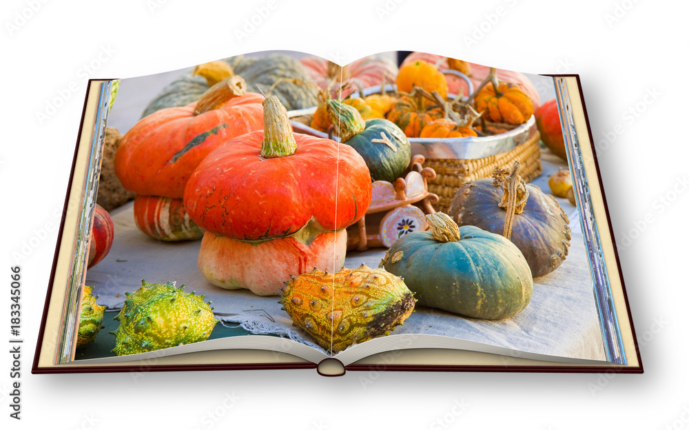 Learn to cook with pumpkins cookbook - 3D render concept image of an ...