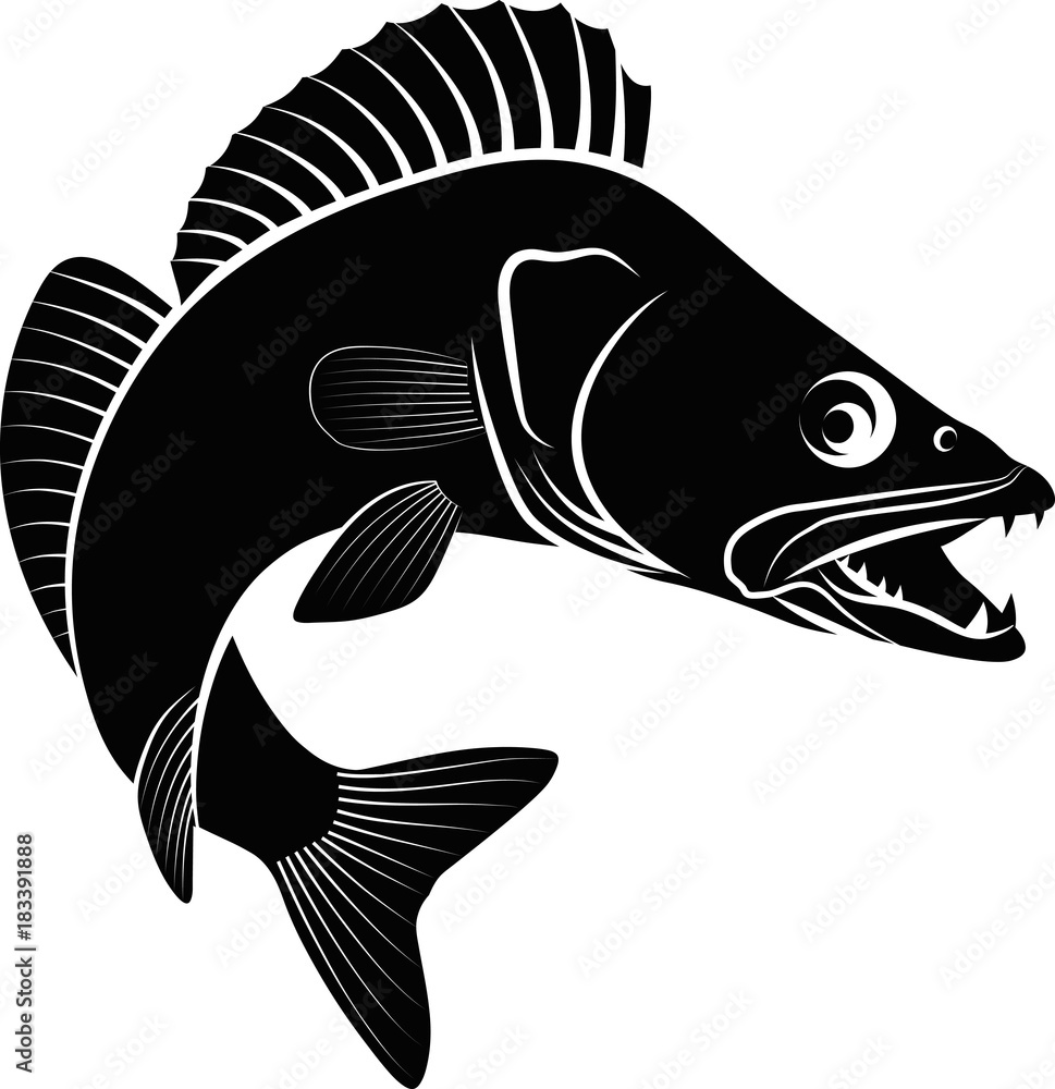 clip art illustration of zander fish Stock Vector | Adobe Stock