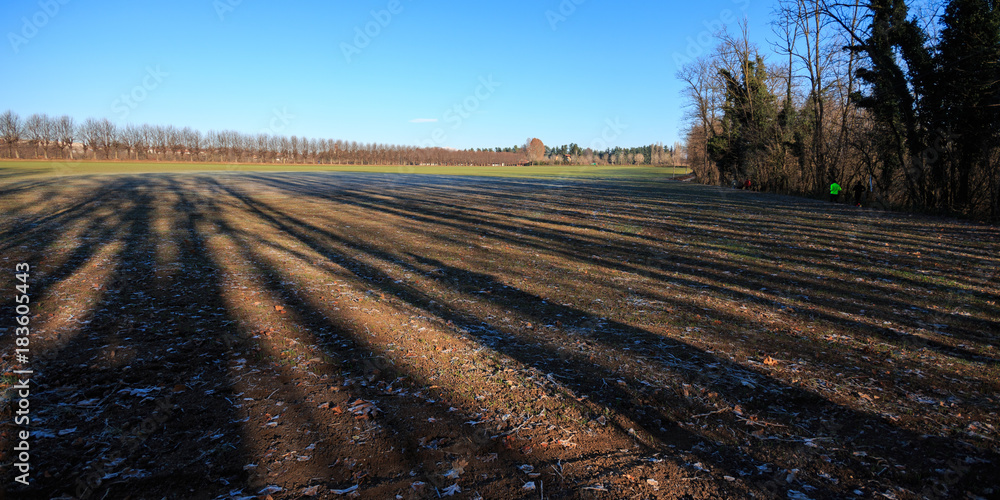 campi coltivati nel parco del Lura - Lomazzo (Como) Stock Photo | Adobe ...