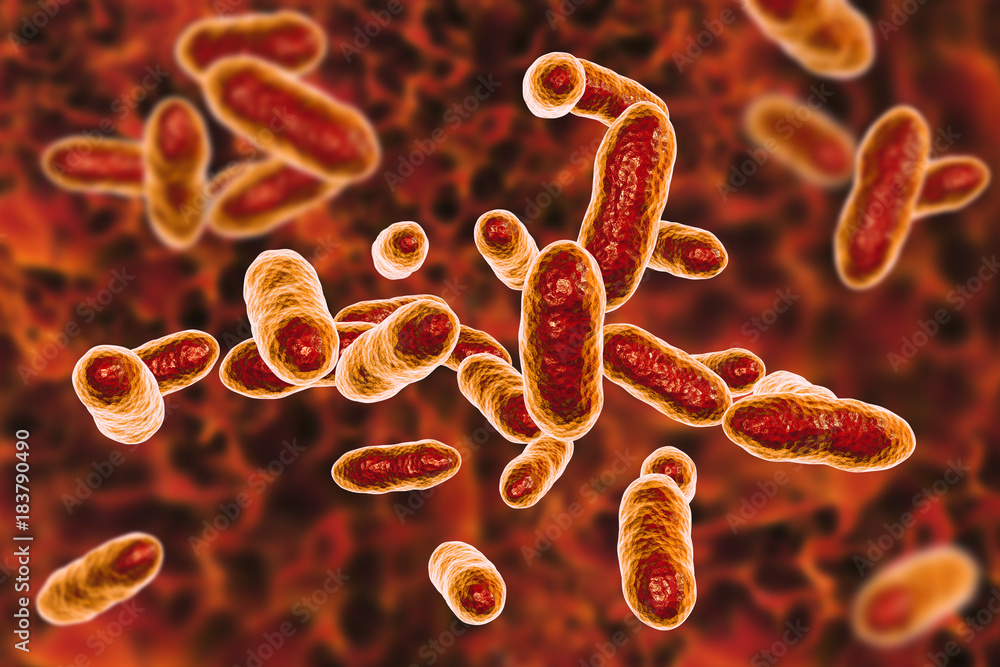 Tannerella forsythia bacteria, 3D illustration. Gram-negative anaerobic ...