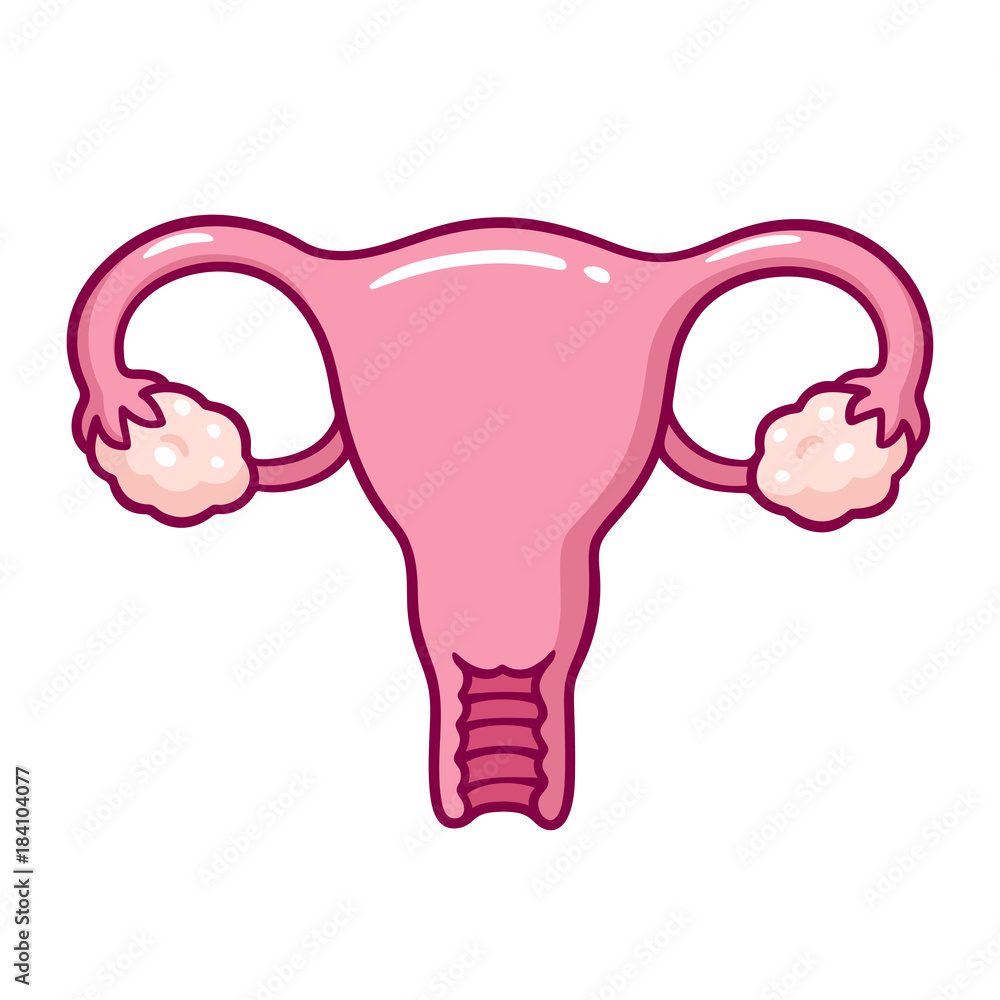 Cartoon uterus drawing Stock Vector | Adobe Stock