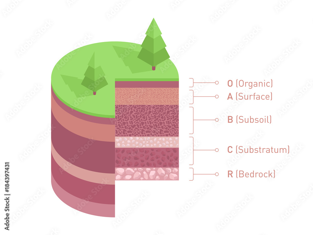 Soil layers diagram. Isometric soil horizons and profile. Earth ...