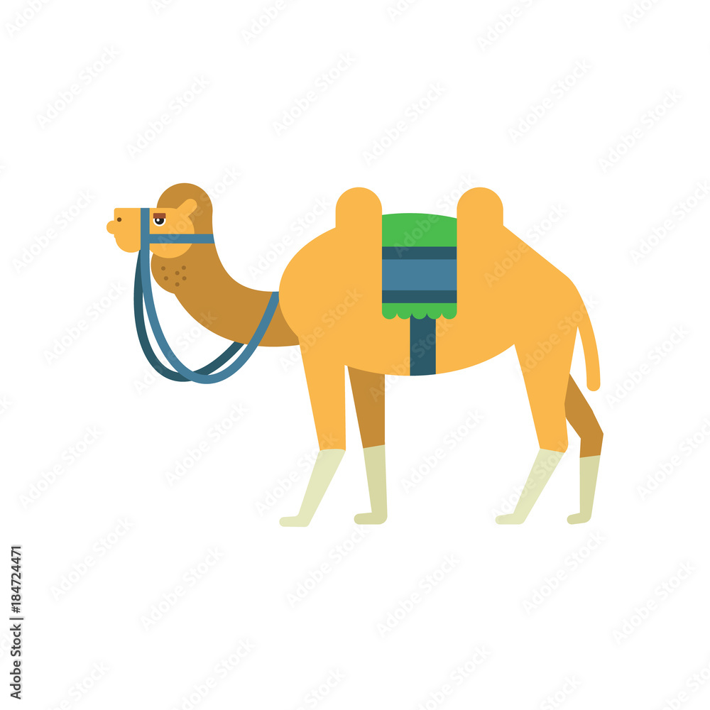 Arabian bactrian camel with colorful saddle between two humps. Cartoon ...