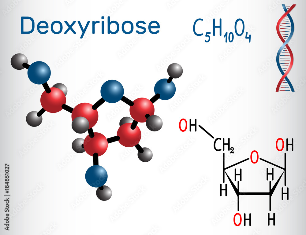 Deoxyribose molecule, it is a monosaccharide (deoxy sugar), it forms ...