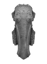 Knight Charger Horse Rider Free Stock Photo - Public Domain Pictures