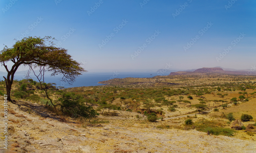 Aerial view of african savanna and alkaline lake Shala in background ...