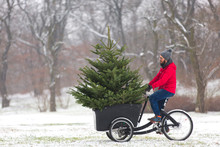 Christmas Bicycle Free Stock Photo - Public Domain Pictures