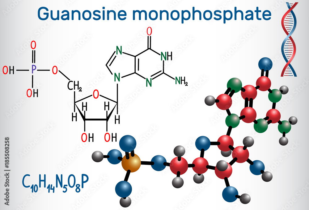 Guanosine monophosphate (GMP) molecule, it is an ester of phosphoric ...