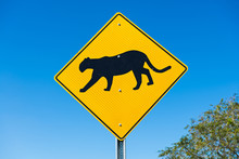 Mountain Lion Crossing Sign Free Stock Photo - Public Domain Pictures