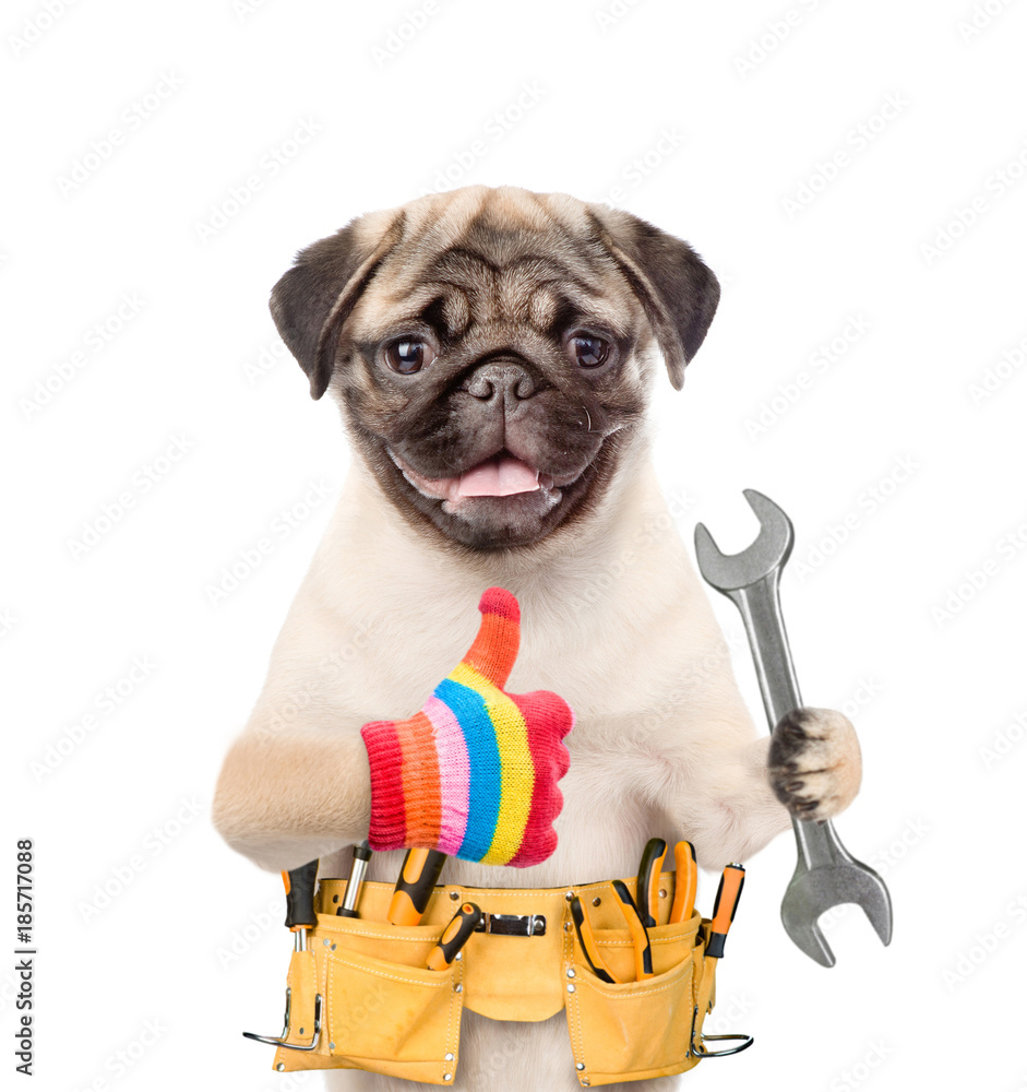Funny puppy worker with tool belt and wrench showing thumbs up ...