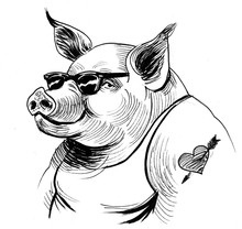 Big Fat Pig, Animal Farm, Ballito Free Stock Photo - Public Domain Pictures