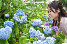Woman Looking At Flowers Free Stock Photo - Public Domain Pictures