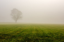 Autumn Field And Fog Free Stock Photo - Public Domain Pictures